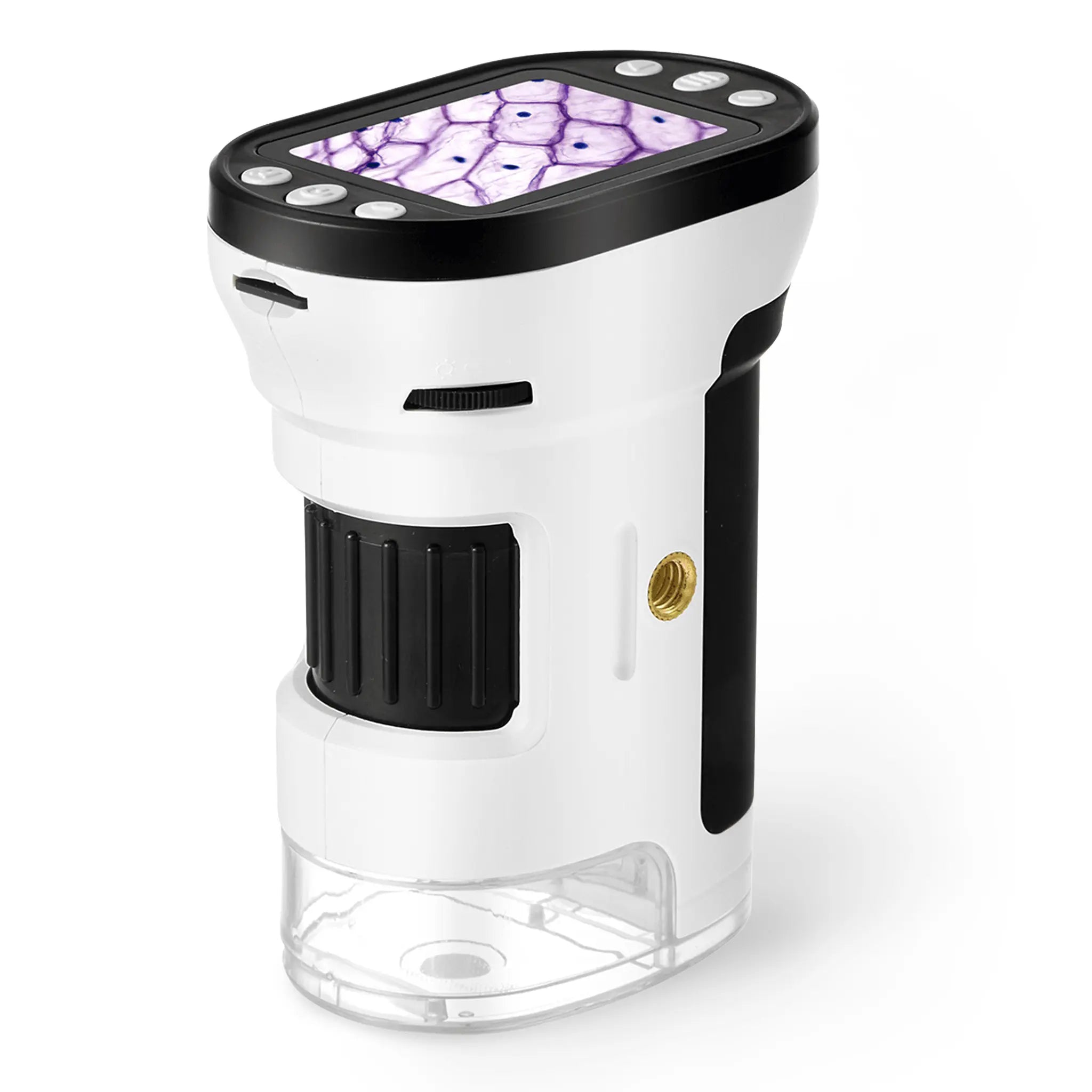 Kids Microscope 1000X with LCD Screen|USB & SD Card | STEM Science Kit ...